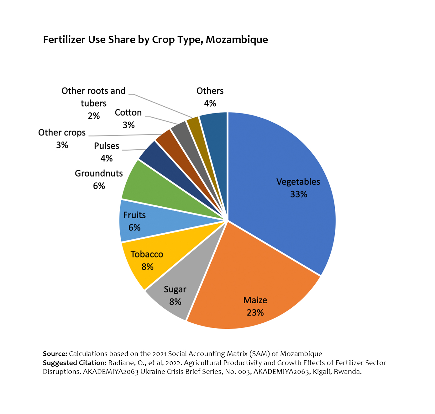 AKADEMIYA2063: The Expertise We Need. The Africa We Want.